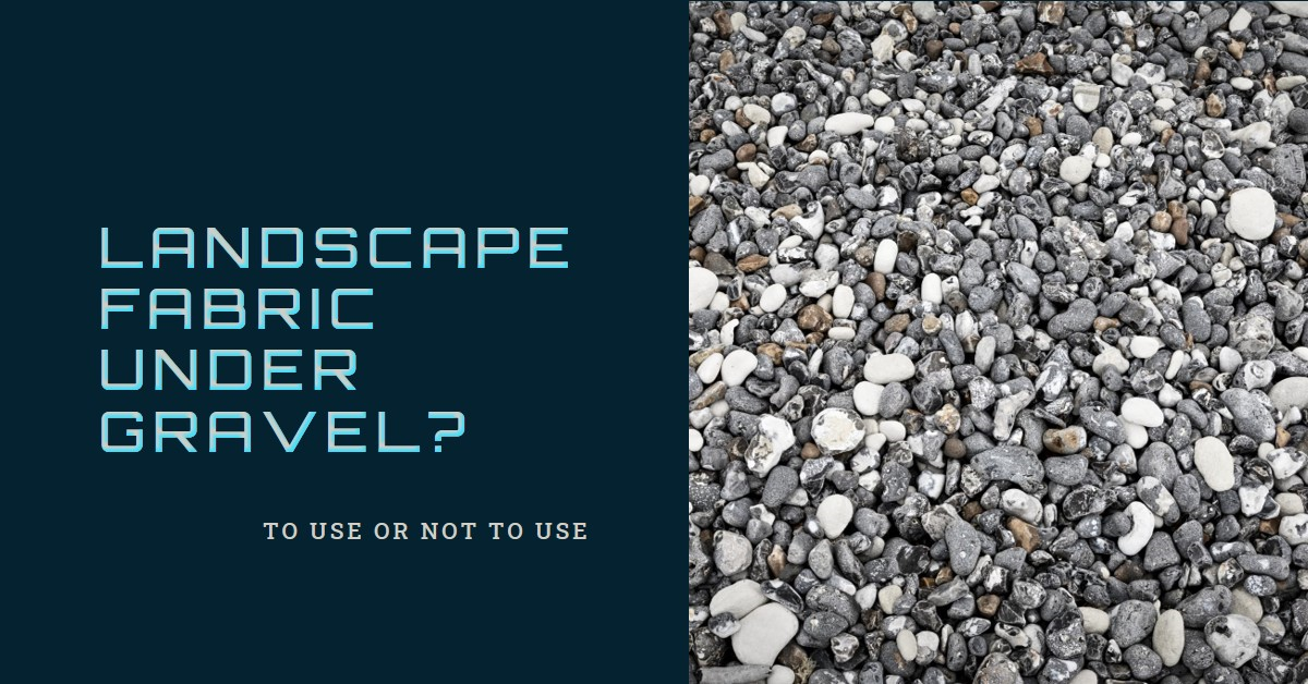 2025 Should I Use Landscape Fabric Under Gravel? » Archova Visuals
