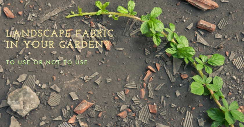 2026 Why Urban Planning Is Important: Key Reasons » Archova Visuals