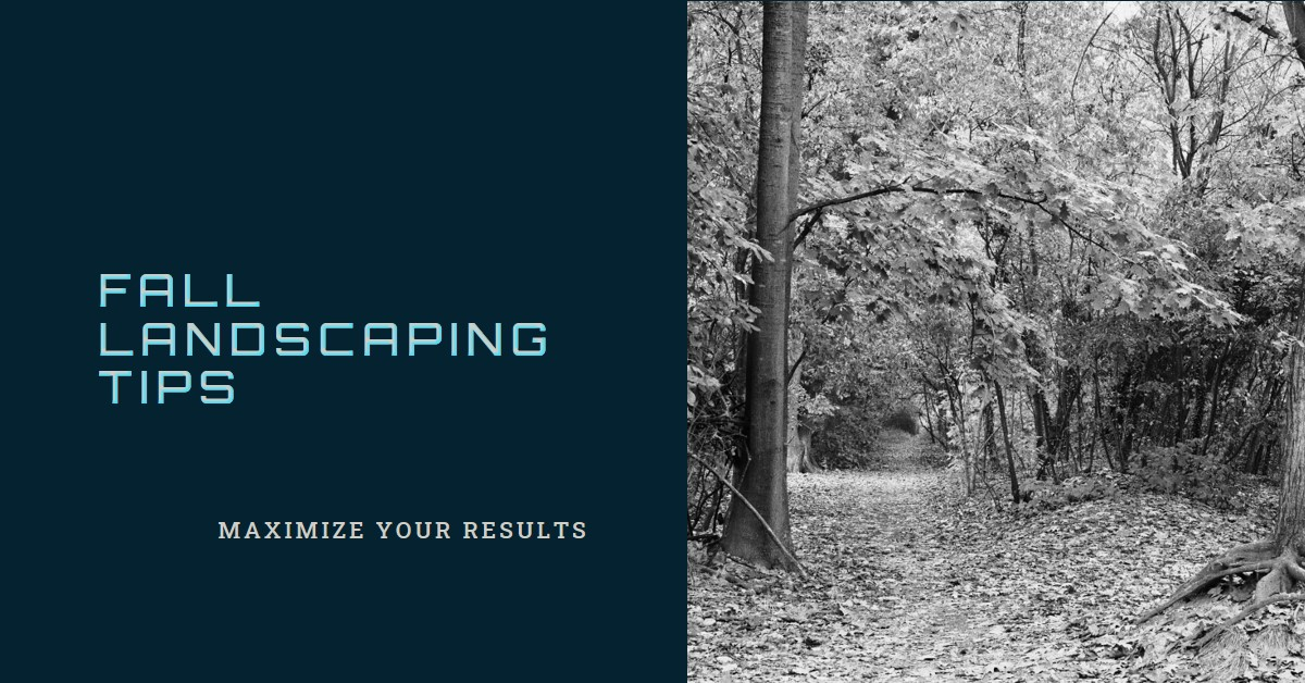 2025 Should You Landscape In The Fall For Better Results Archova Visuals