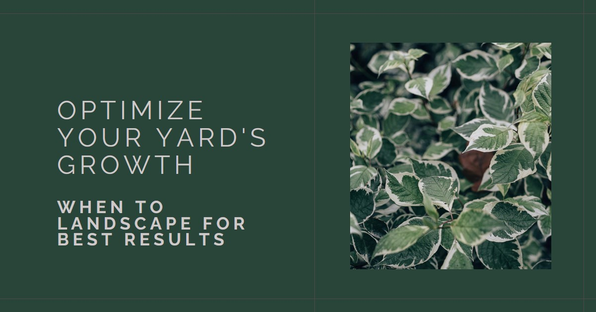 2025 When to Landscape Your Yard for Optimal Growth » Archova Visuals