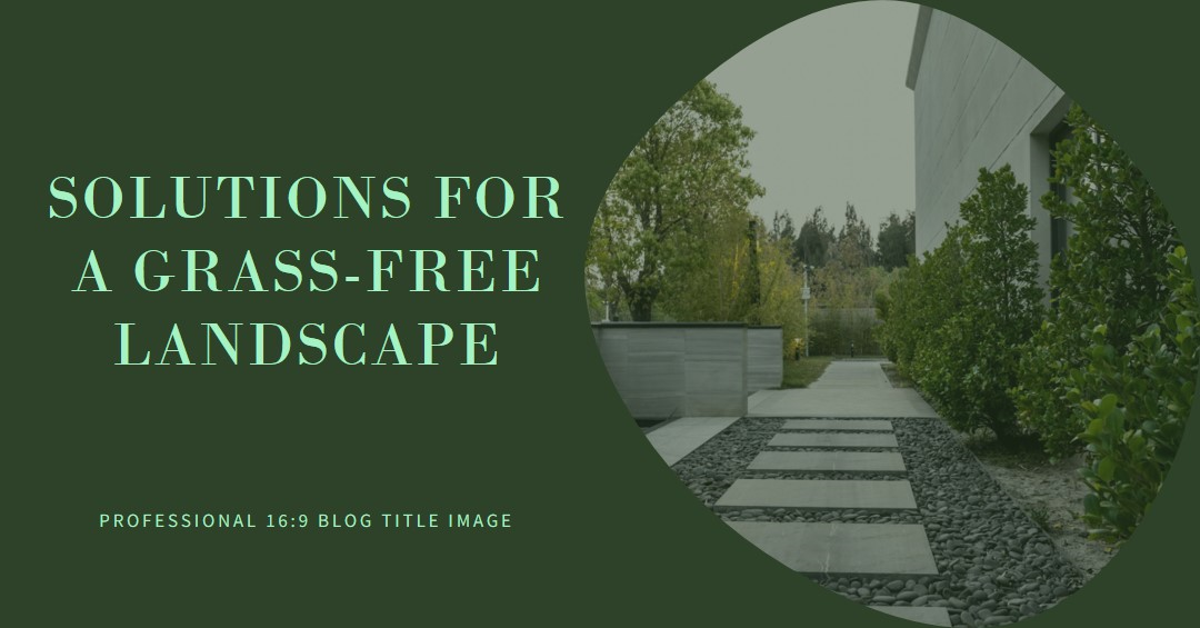 2025 Landscape Where Grass Won't Grow: Solutions » Archova Visuals