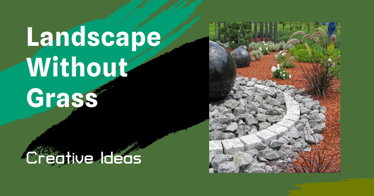 2025 Landscape Without Grass: Creative Ideas » Archova Visuals