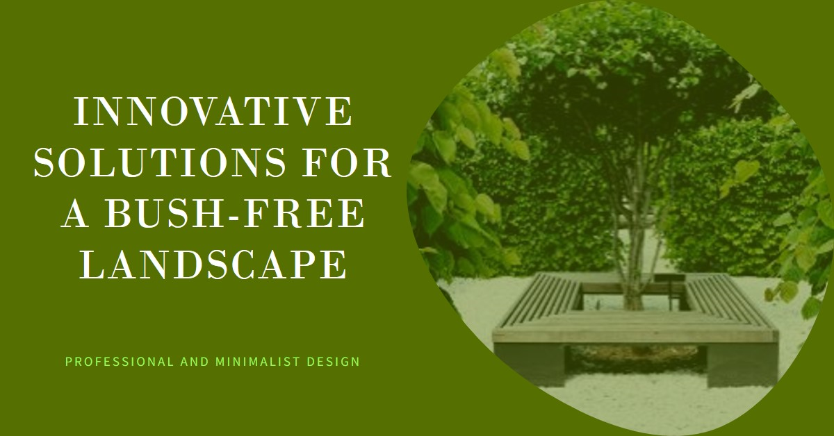 2025 Landscape Without Bushes: Innovative Solutions » Archova Visuals