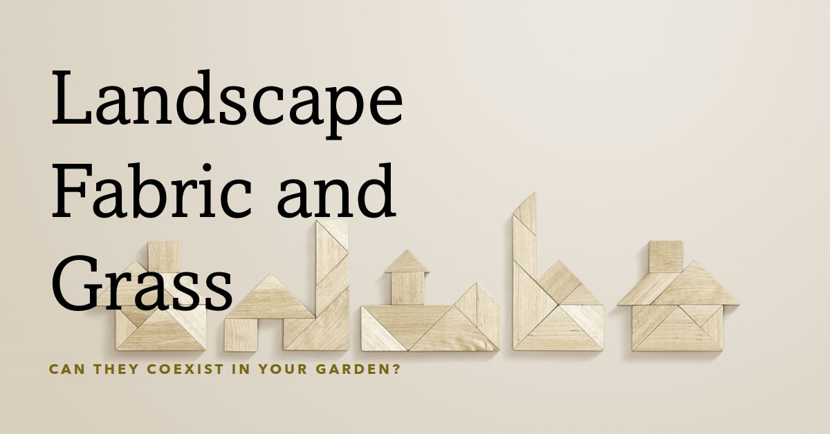 2025 Can Landscape Fabric Kill Grass in My Garden? » Archova Visuals