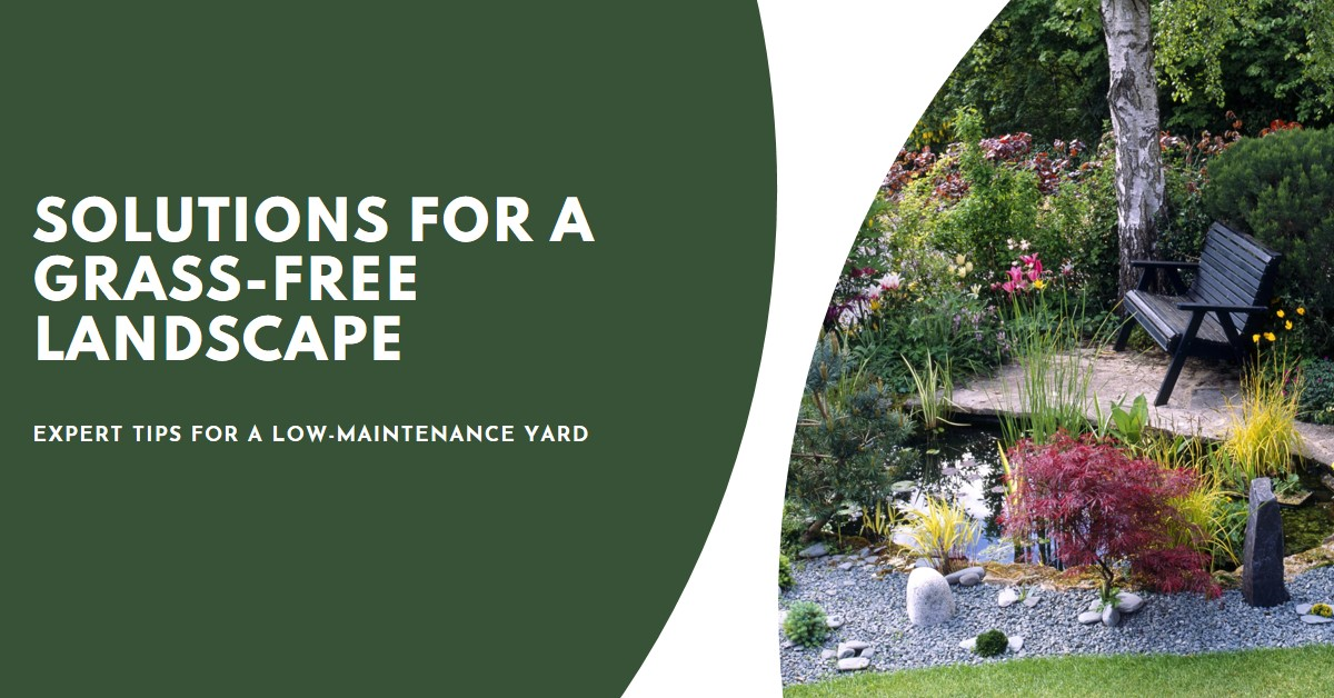 2025 Landscape Where Grass Won't Grow: Best Solutions » Archova Visuals