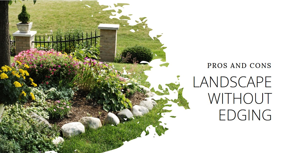 2025 Landscape Without Edging: Pros and Cons » Archova Visuals