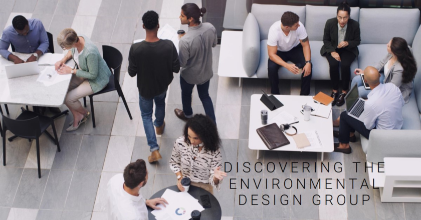 2025 The Basics of Environmental Graphic Design » Archova Visuals